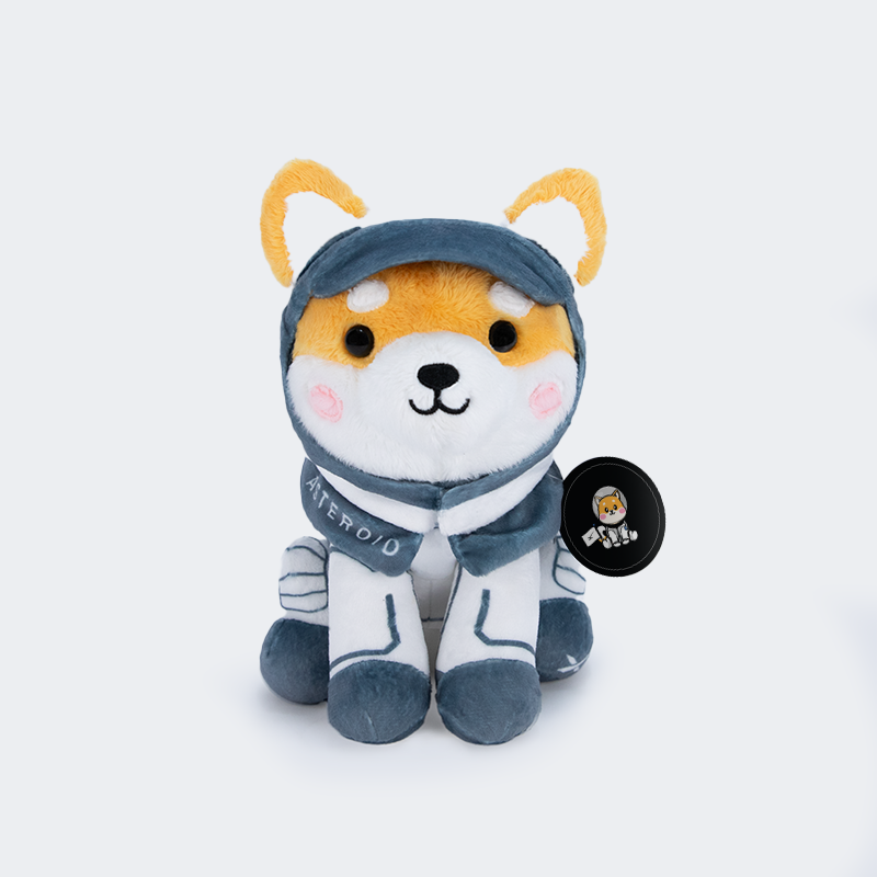 SPACEX ASTEROID PLUSH – SpaceX Store