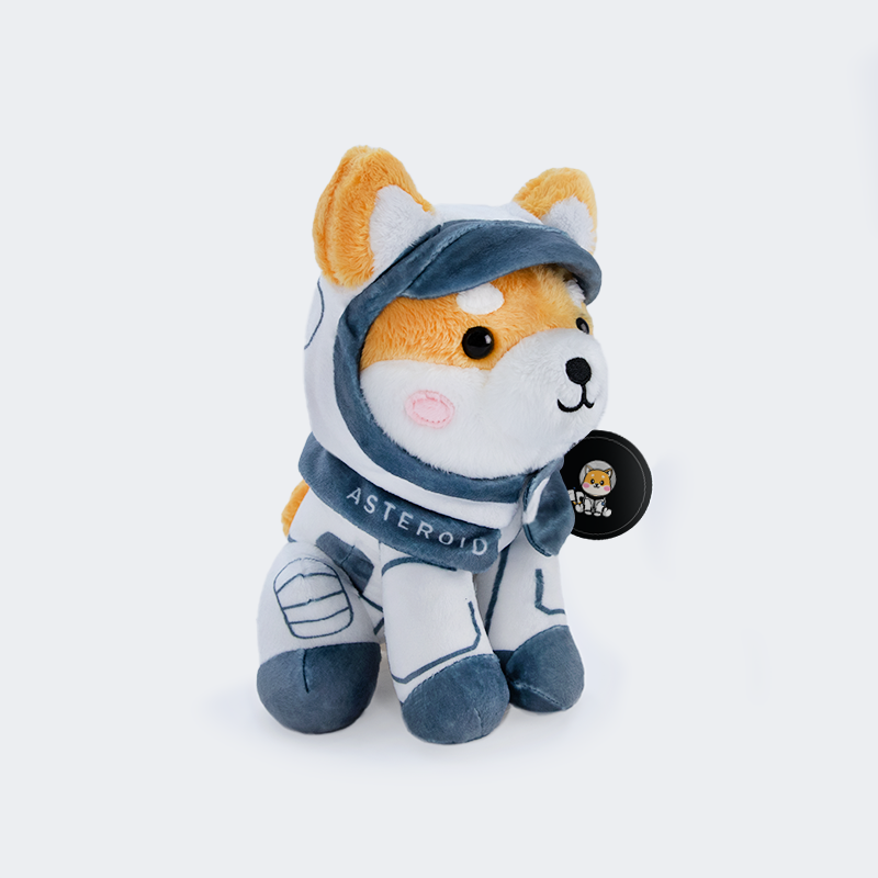 SPACEX ASTEROID PLUSH – SpaceX Store